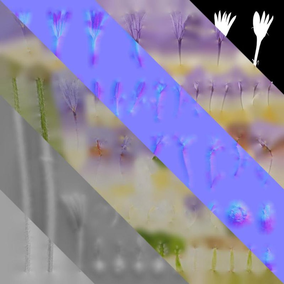 Anydrafts Centaurea Cyanus Blue Diadem Flower 01 Textures 3D Model ...