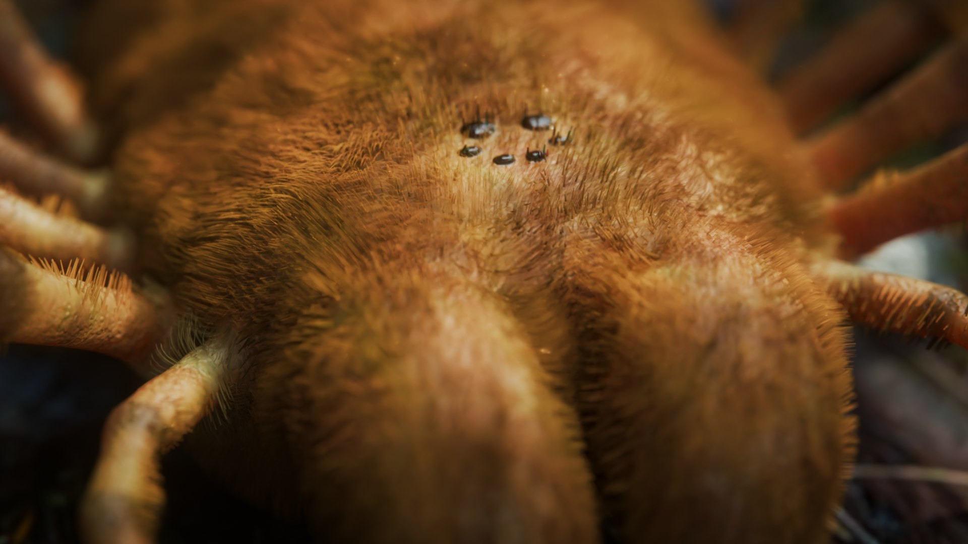 Prehistoric Spider 3D Model - TurboSquid 2339014