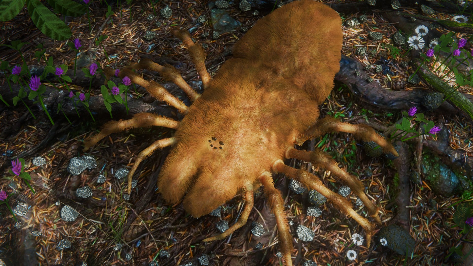 Prehistoric Spider 3D Model - TurboSquid 2339014