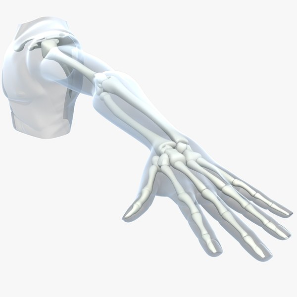 3D Trapezoid Models | TurboSquid