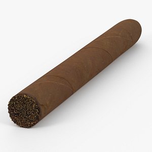 Cigar 3D Models for Download | TurboSquid