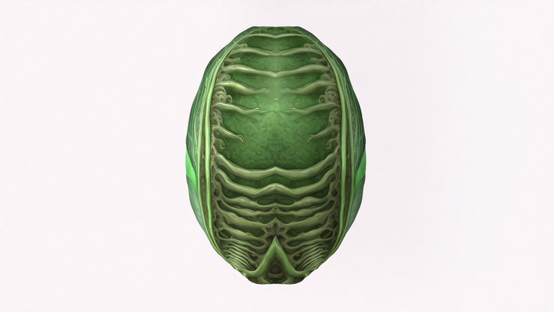 3D Alien Egg 11 Model - TurboSquid 2267060