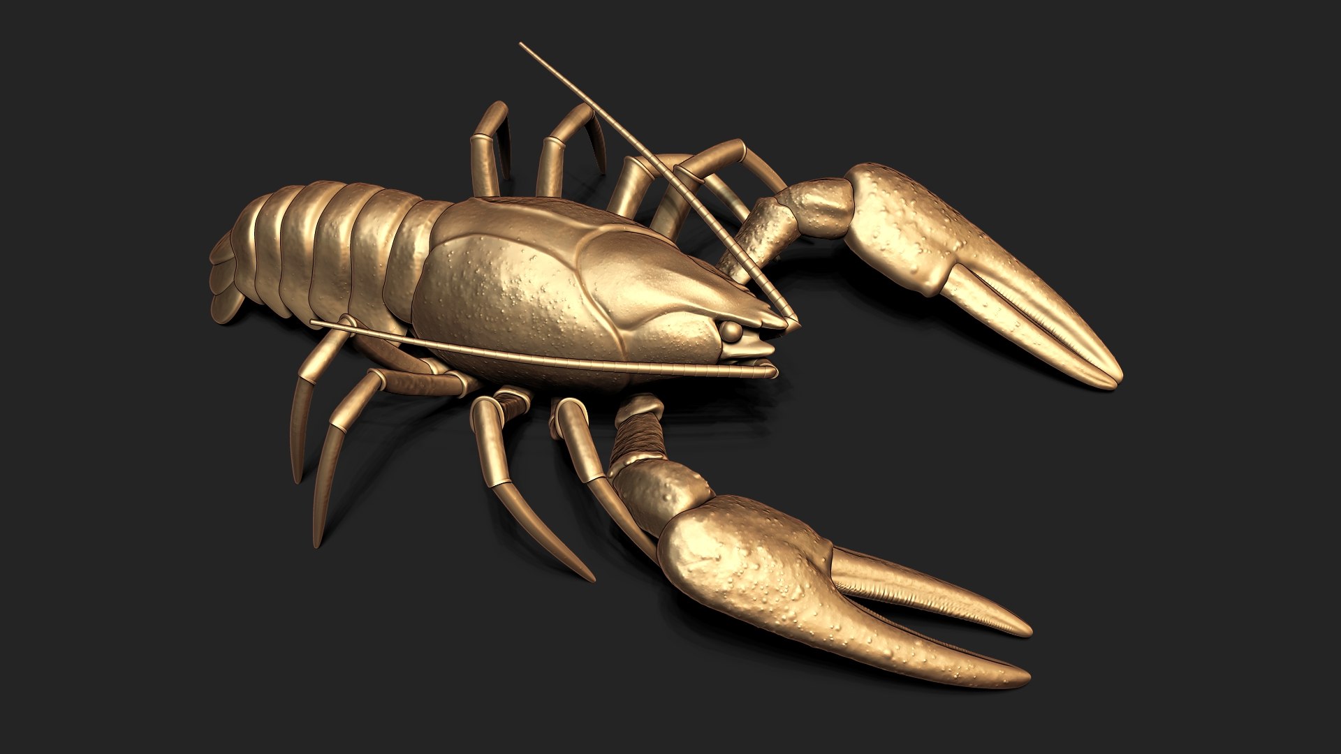 3D Crayfish - TurboSquid 1985654
