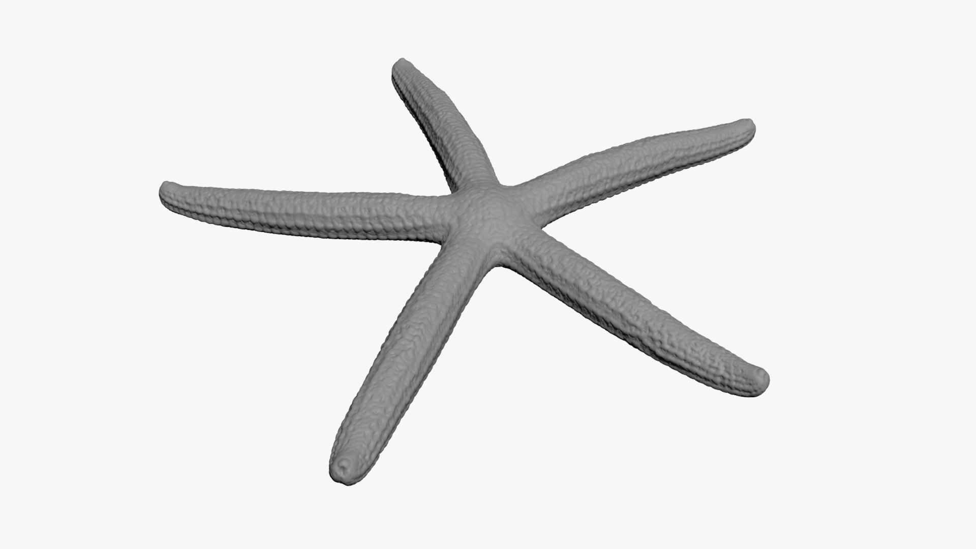 Finger Starfish 3D Print 3D Model - TurboSquid 2295243