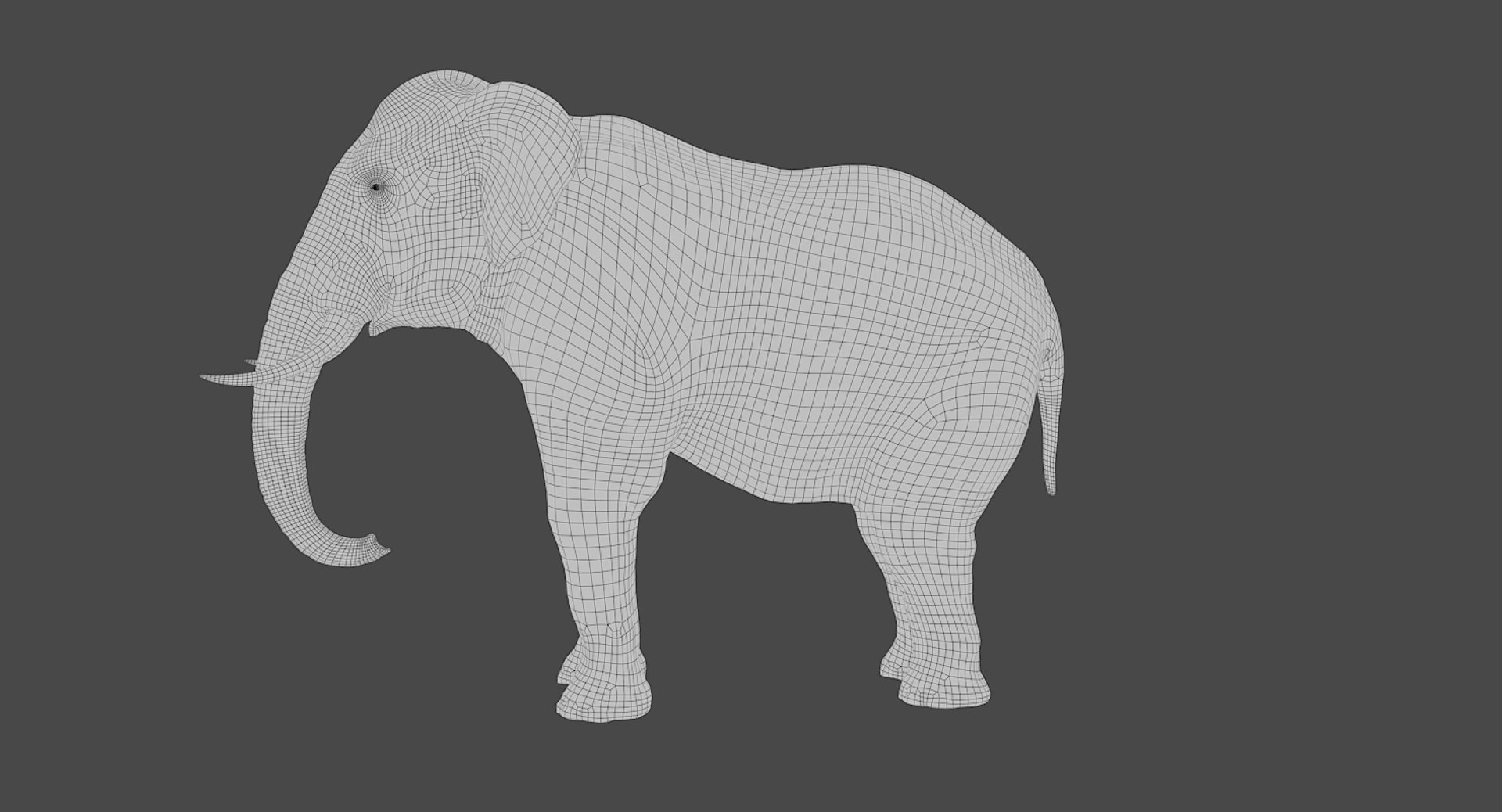 3d Elephant Realistic Arnold