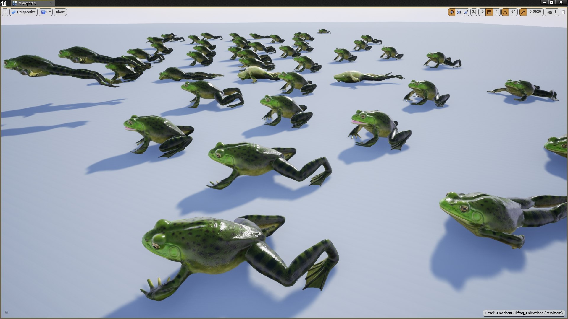 American Bullfrog - Animated 3D model - TurboSquid 1767297