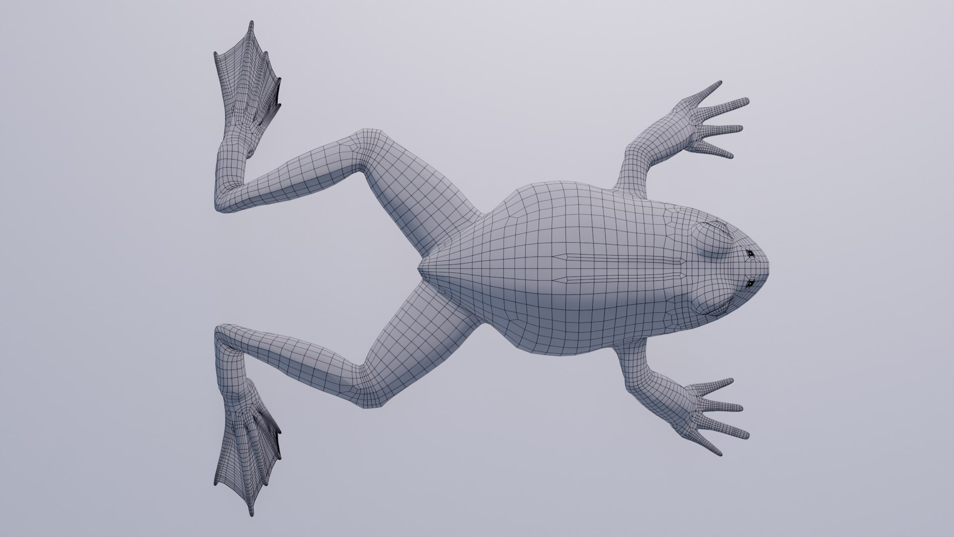 American Bullfrog - Animated 3D model - TurboSquid 1767297