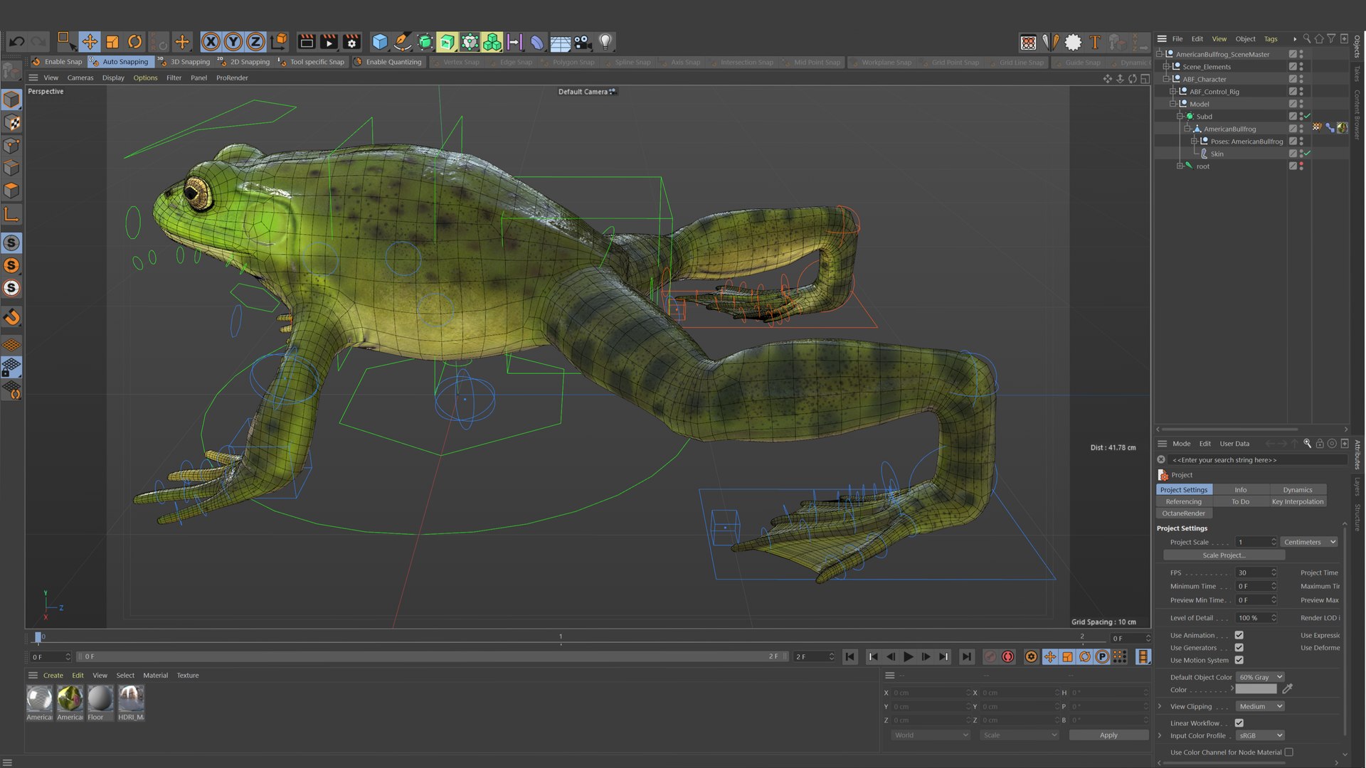 American Bullfrog - Animated 3D model - TurboSquid 1767297