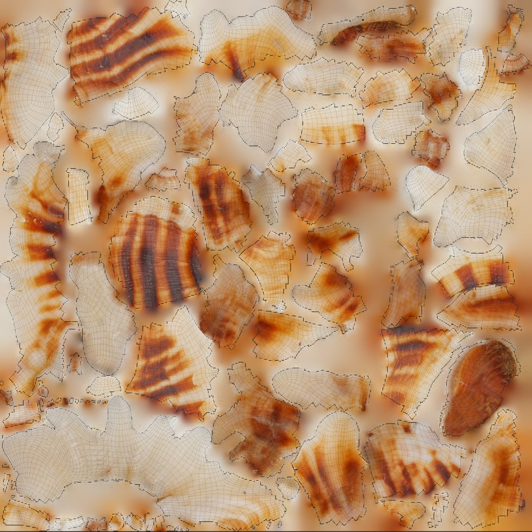 3D Sea Shells set 2 - TurboSquid 2079085