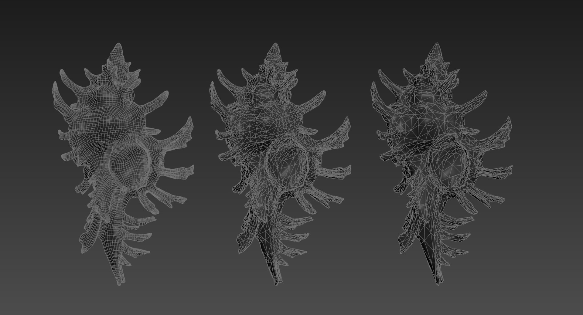 3D Sea Shells set 2 - TurboSquid 2079085