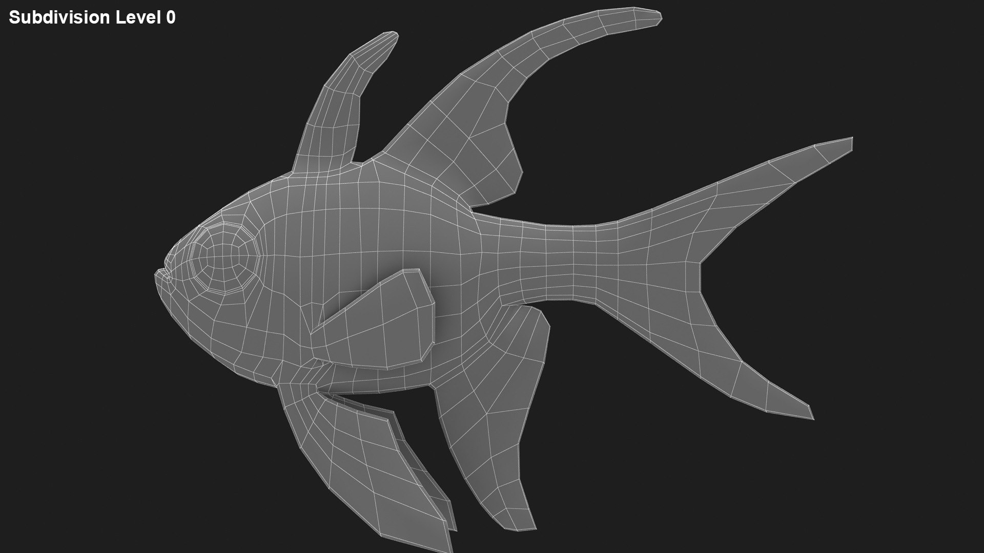 Saltwater fish 2 animation 3D model - TurboSquid 1514498