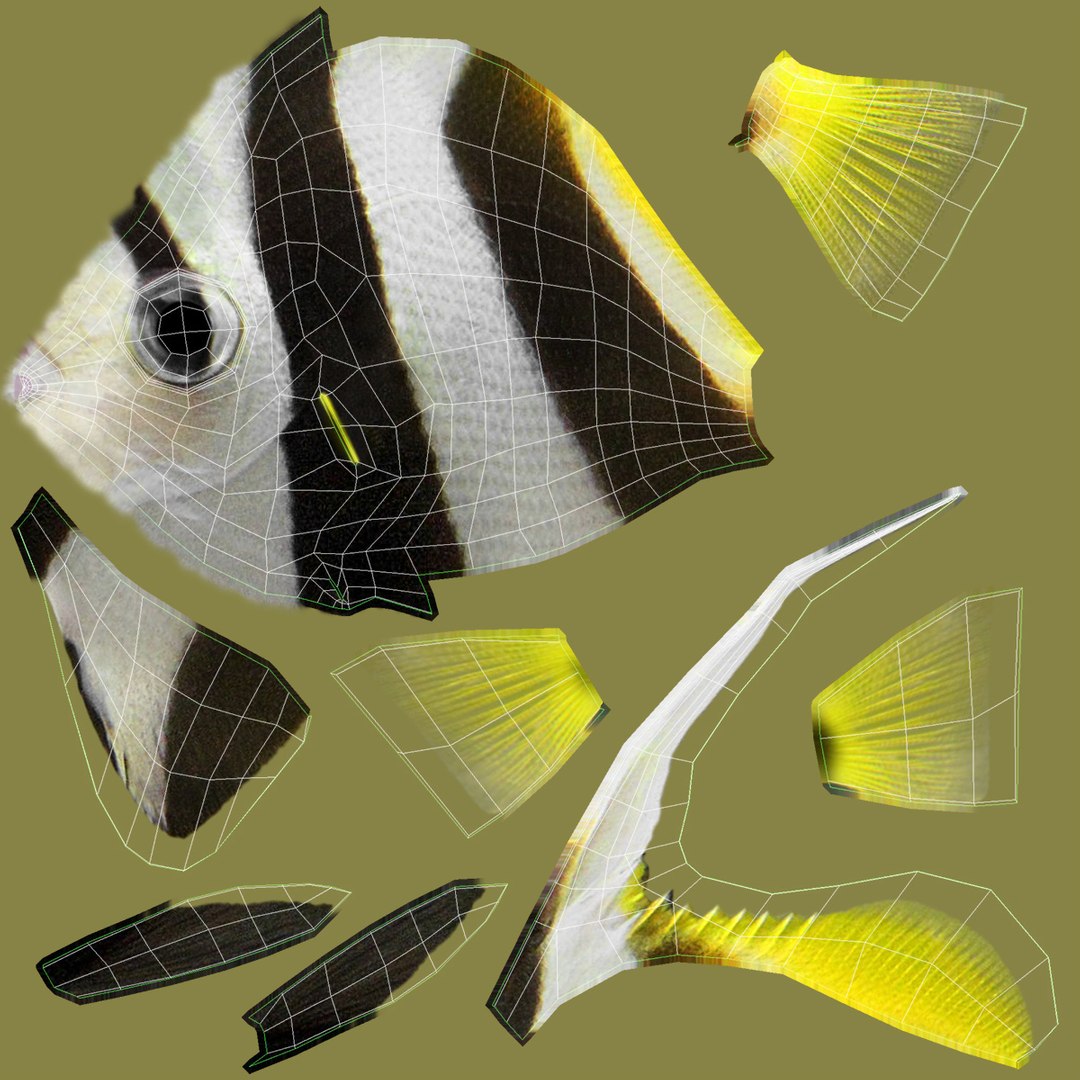Saltwater Fish 2 Animation 3D Model - TurboSquid 1514498