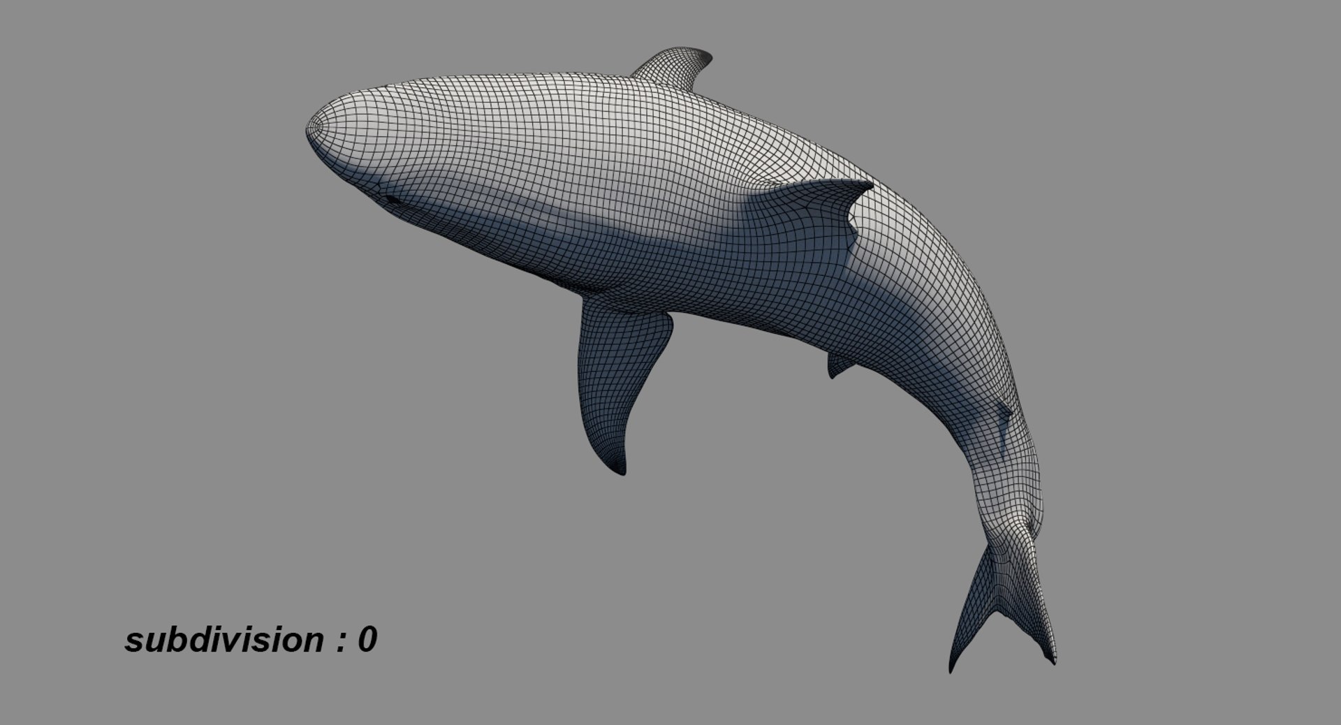 Realistic Shark Rigged 3D Model - TurboSquid 1359353