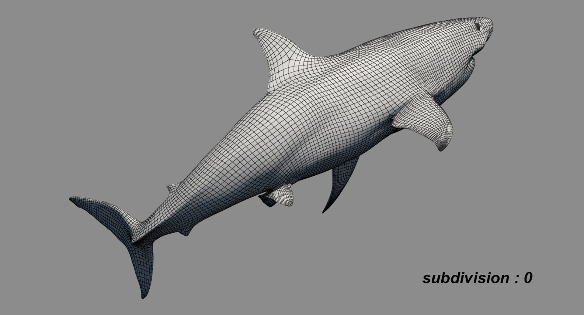 Realistic Shark Rigged 3D Model - TurboSquid 1359353