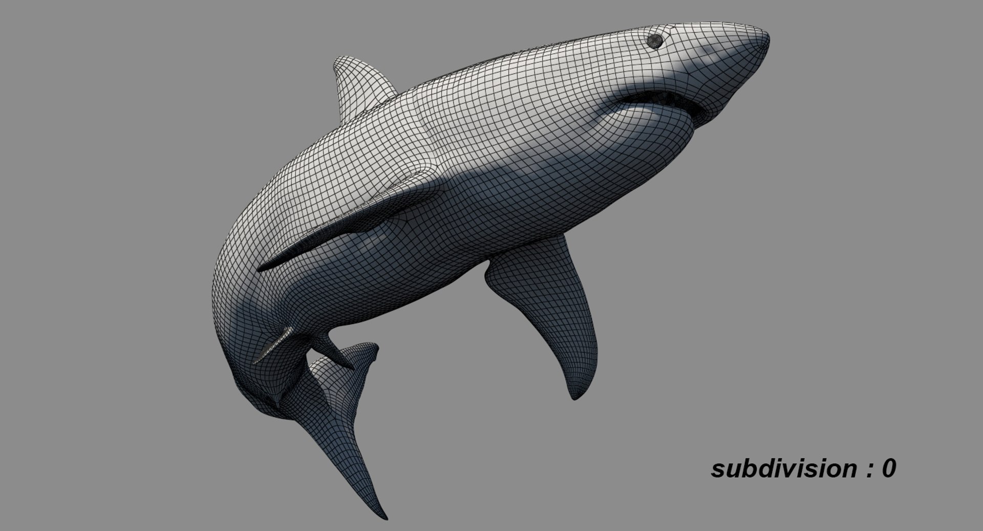 Realistic Shark Rigged 3D Model - TurboSquid 1359353