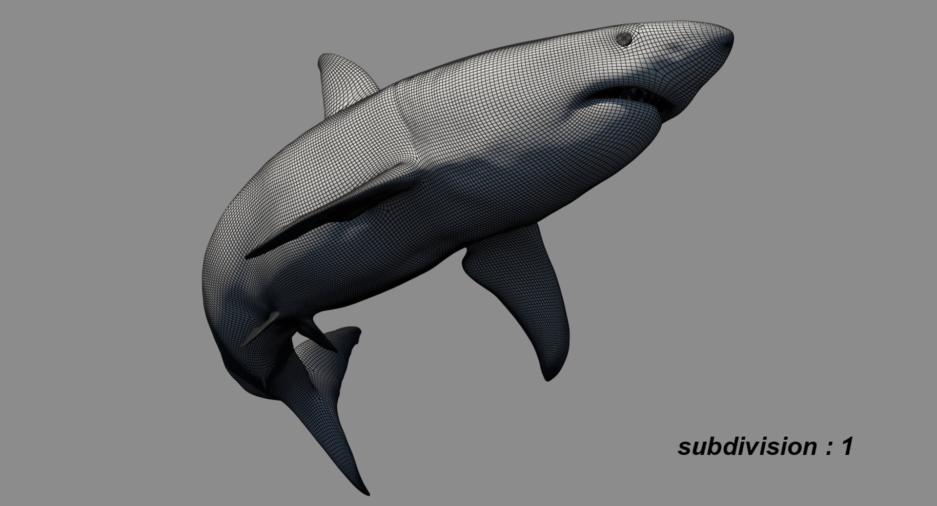 Realistic Shark Rigged 3D Model - TurboSquid 1359353