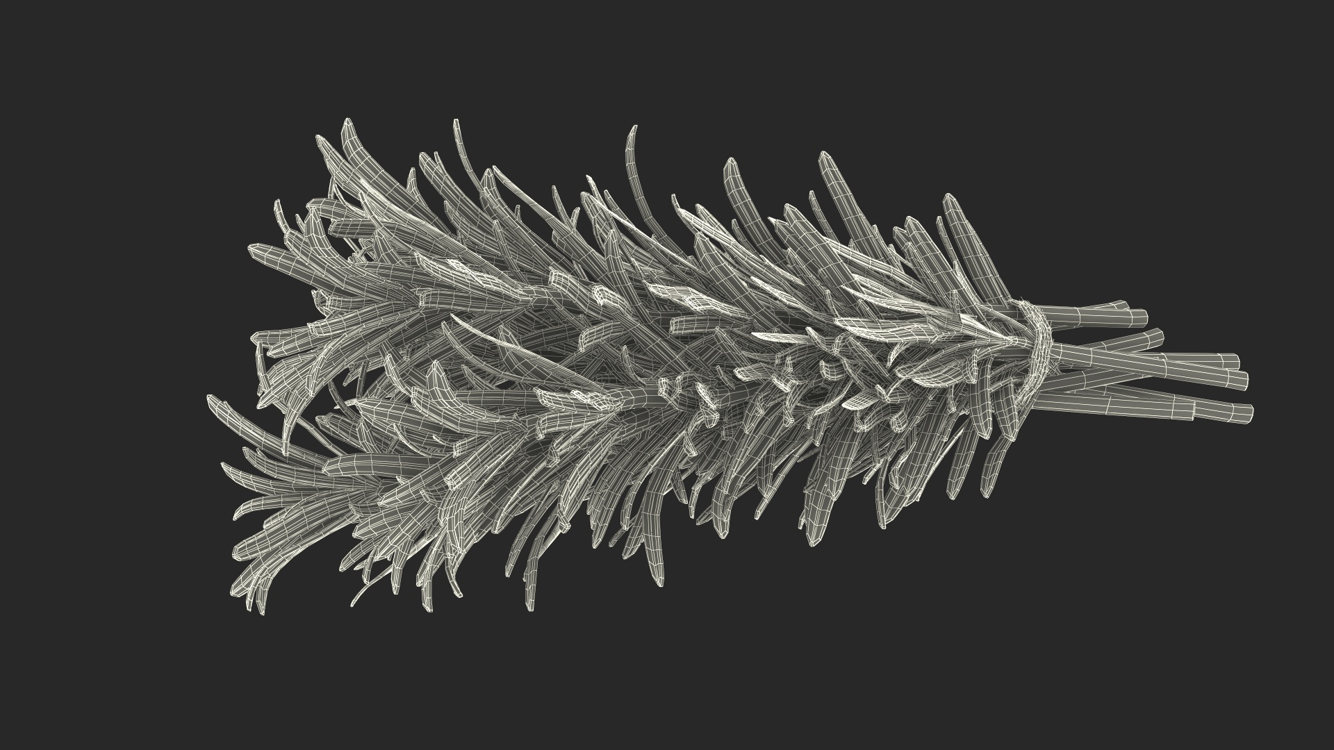 3D Rosemary Sheaf - TurboSquid 2403010