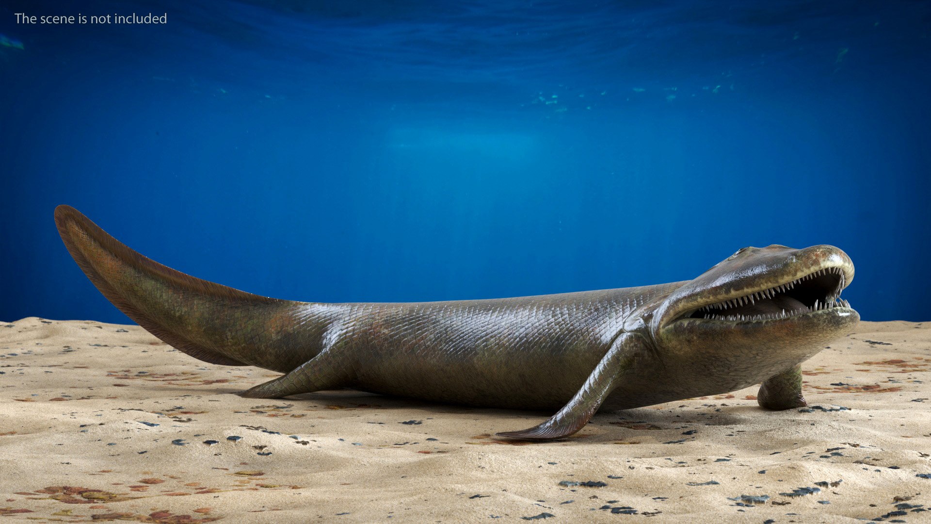 Tiktaalik Rigged 3D Model - TurboSquid 2318263