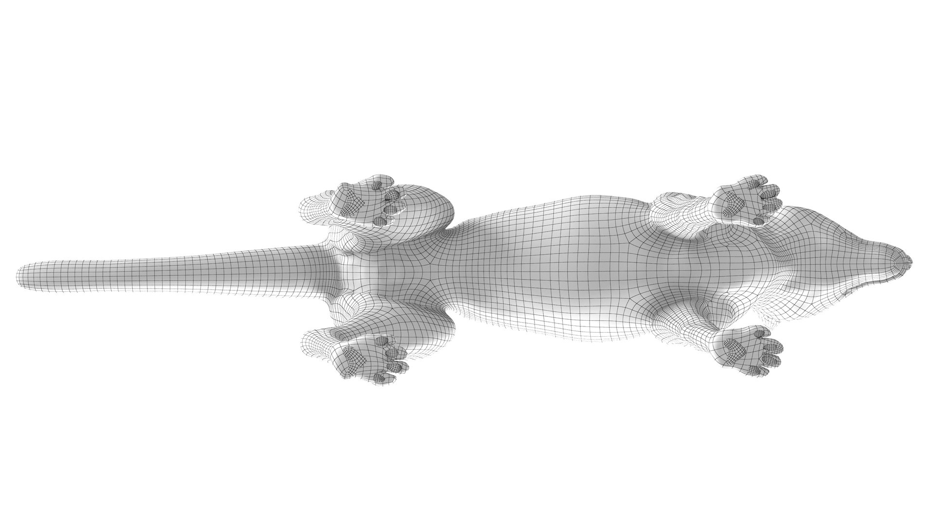 Fox Ornatrix Zbrush 3d Model