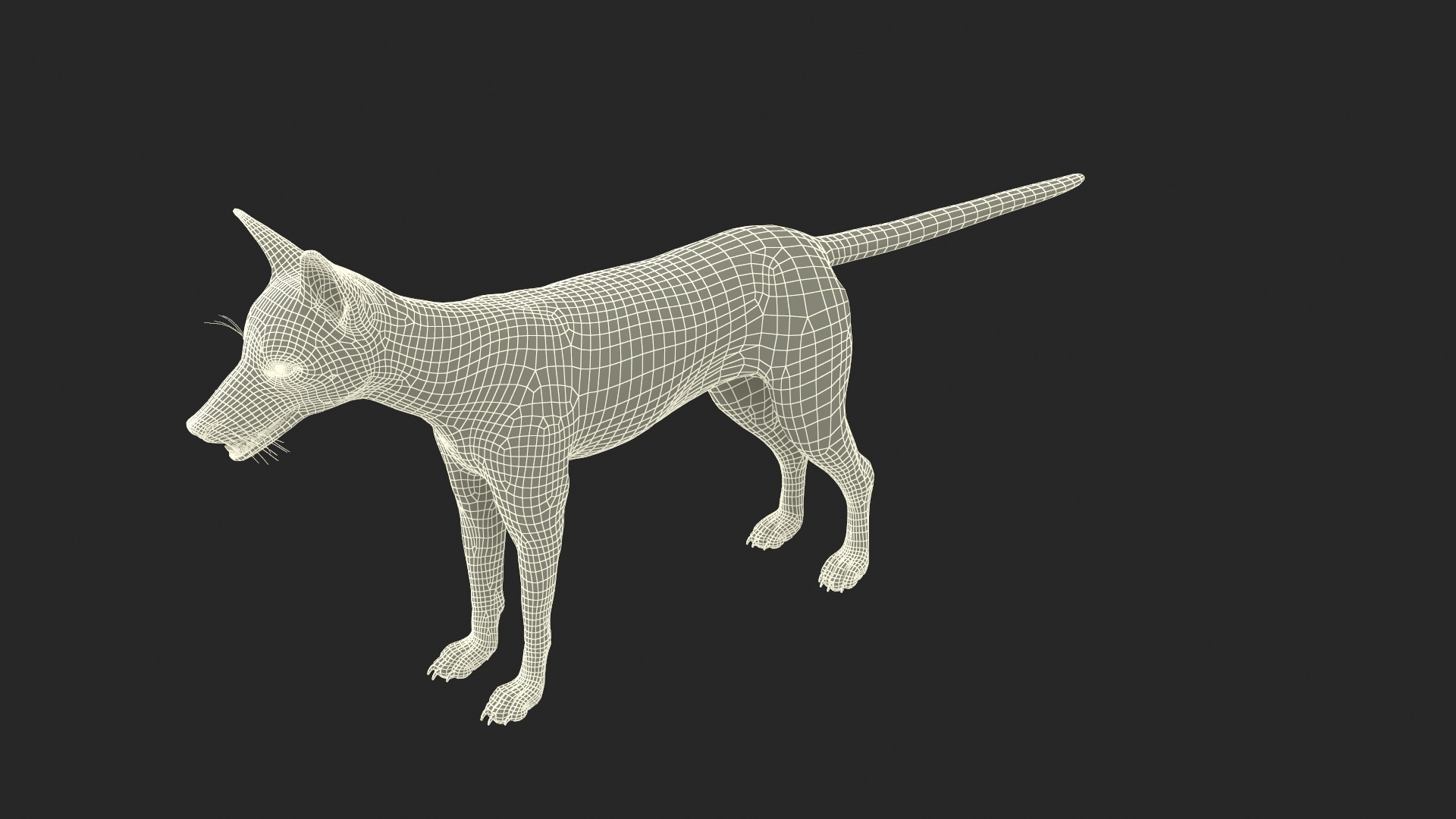 3D Wild European Fox Rigged For Maya - TurboSquid 2220600