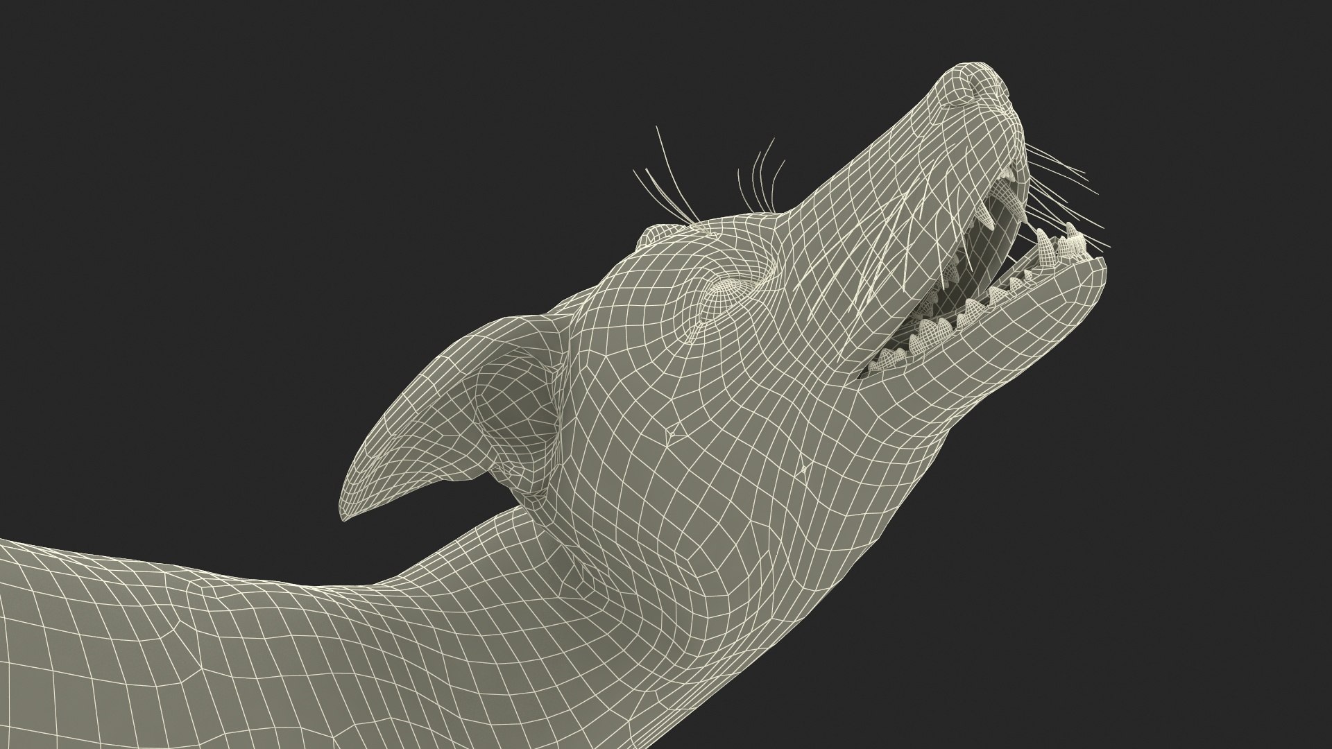 3D Wild European Fox Rigged For Maya - TurboSquid 2220600