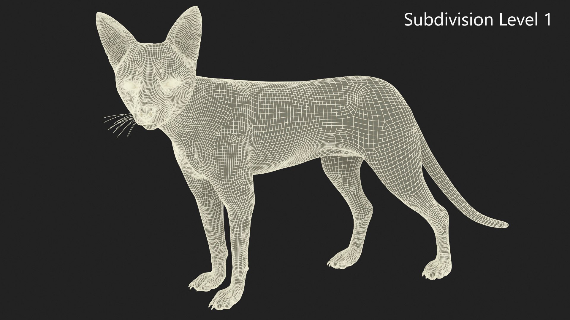 3D Wild European Fox Rigged For Maya - TurboSquid 2220600