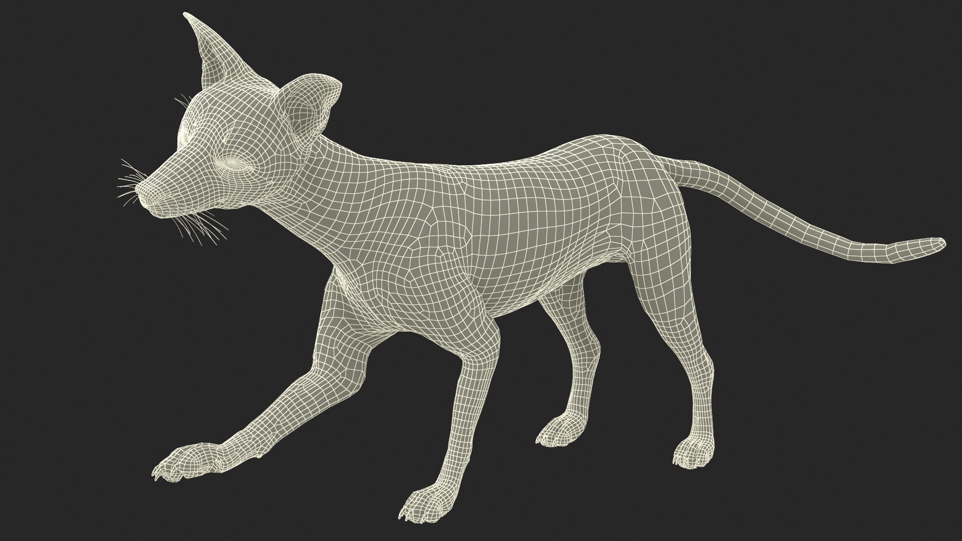3D Wild European Fox Rigged For Maya - TurboSquid 2220600