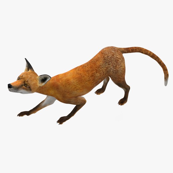 Fox 3D Models for Download | TurboSquid