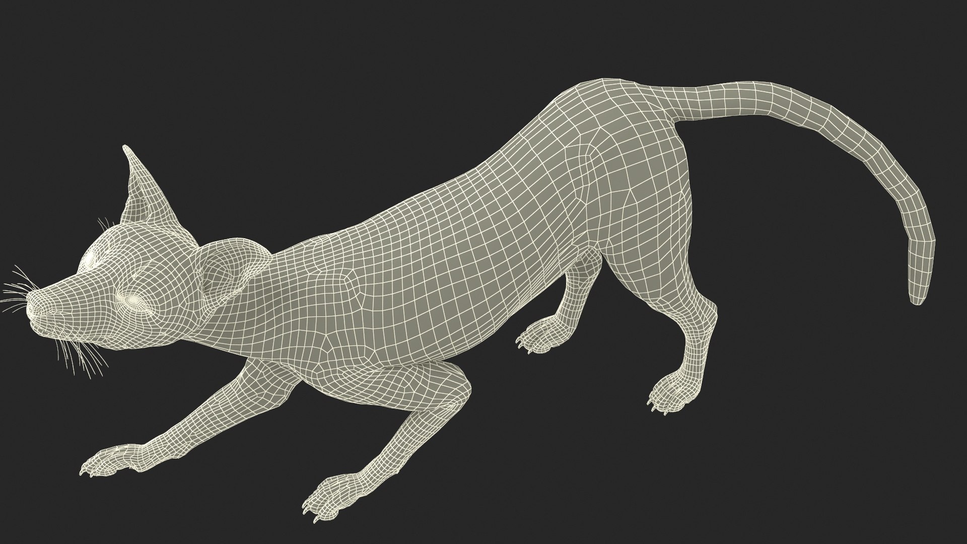 3D Wild European Fox Rigged For Maya - TurboSquid 2220600