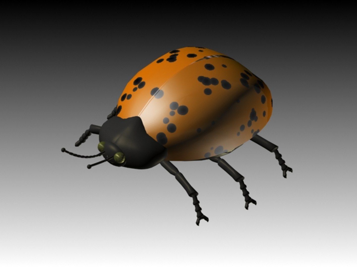 3d Model Ladybird