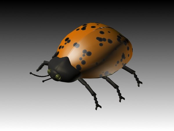 Ladybug 3D Models for Download | TurboSquid