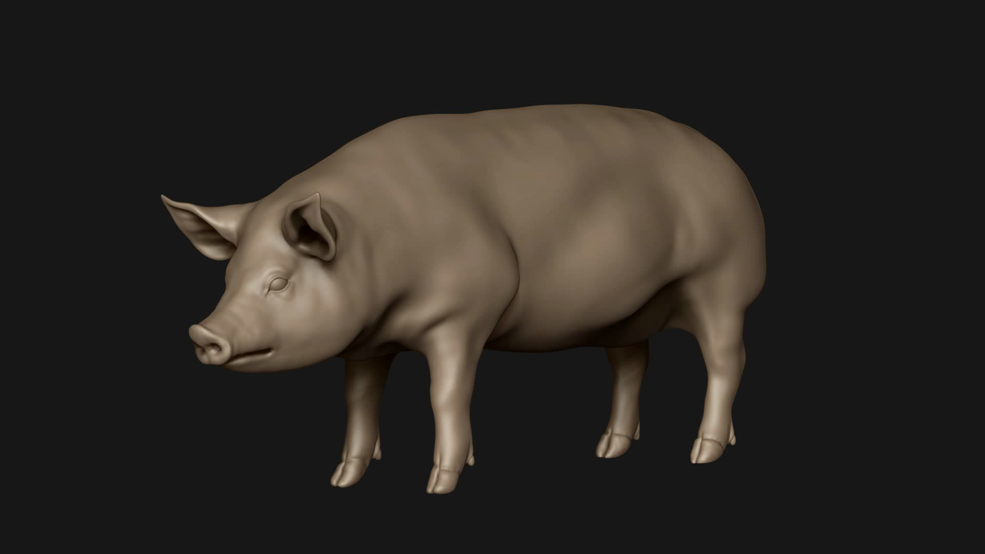 3D Pig Base Mesh 3D Model - TurboSquid 1863228