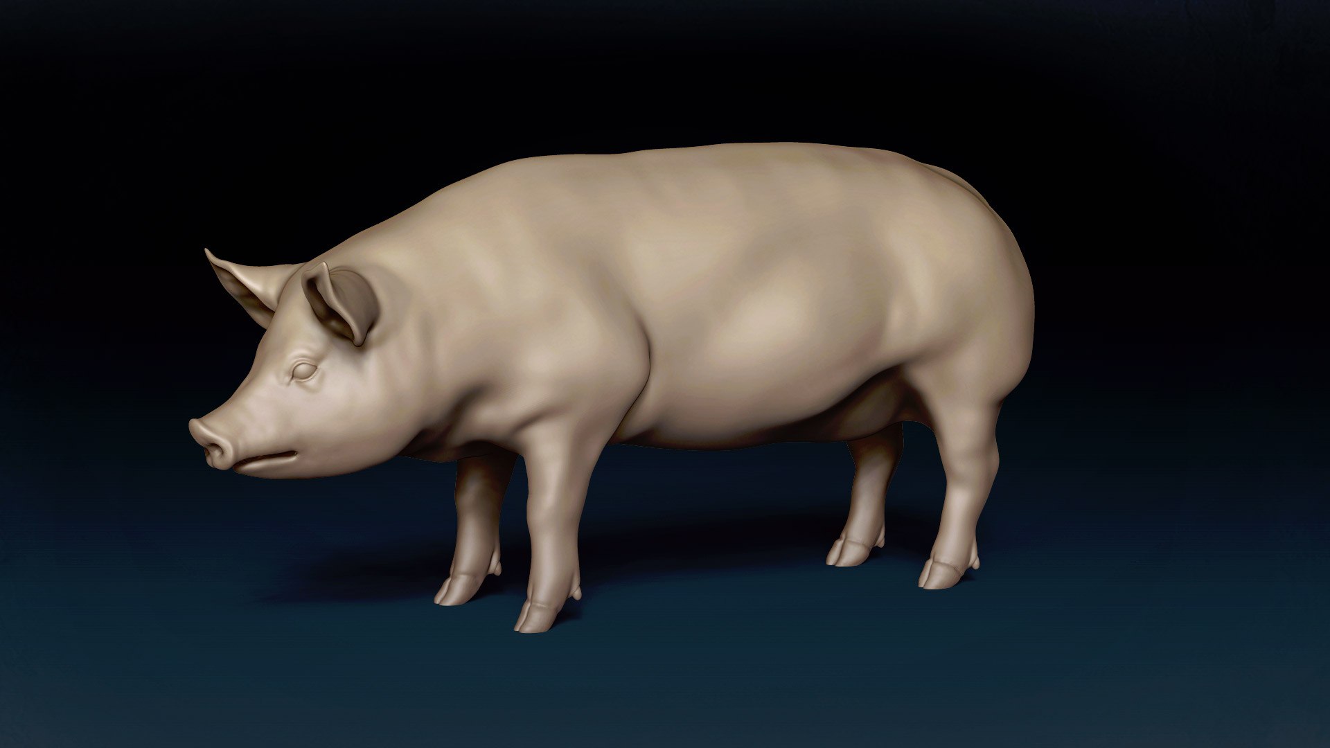 3D Pig Base Mesh 3D Model - TurboSquid 1863228