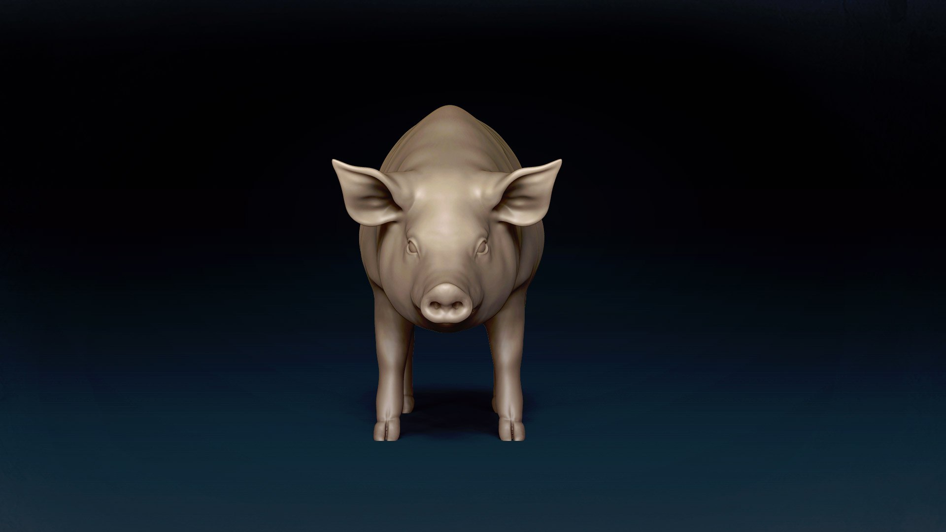 3D Pig Base Mesh 3D Model - TurboSquid 1863228