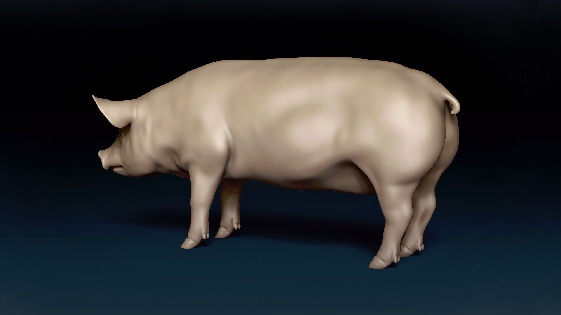 3D Pig Base Mesh 3D Model - TurboSquid 1863228