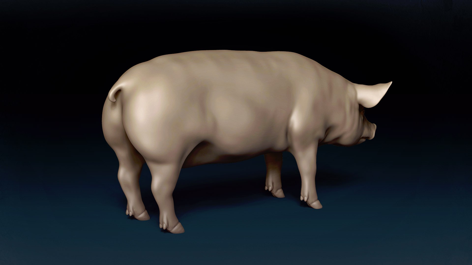 3D Pig Base Mesh 3D Model - TurboSquid 1863228