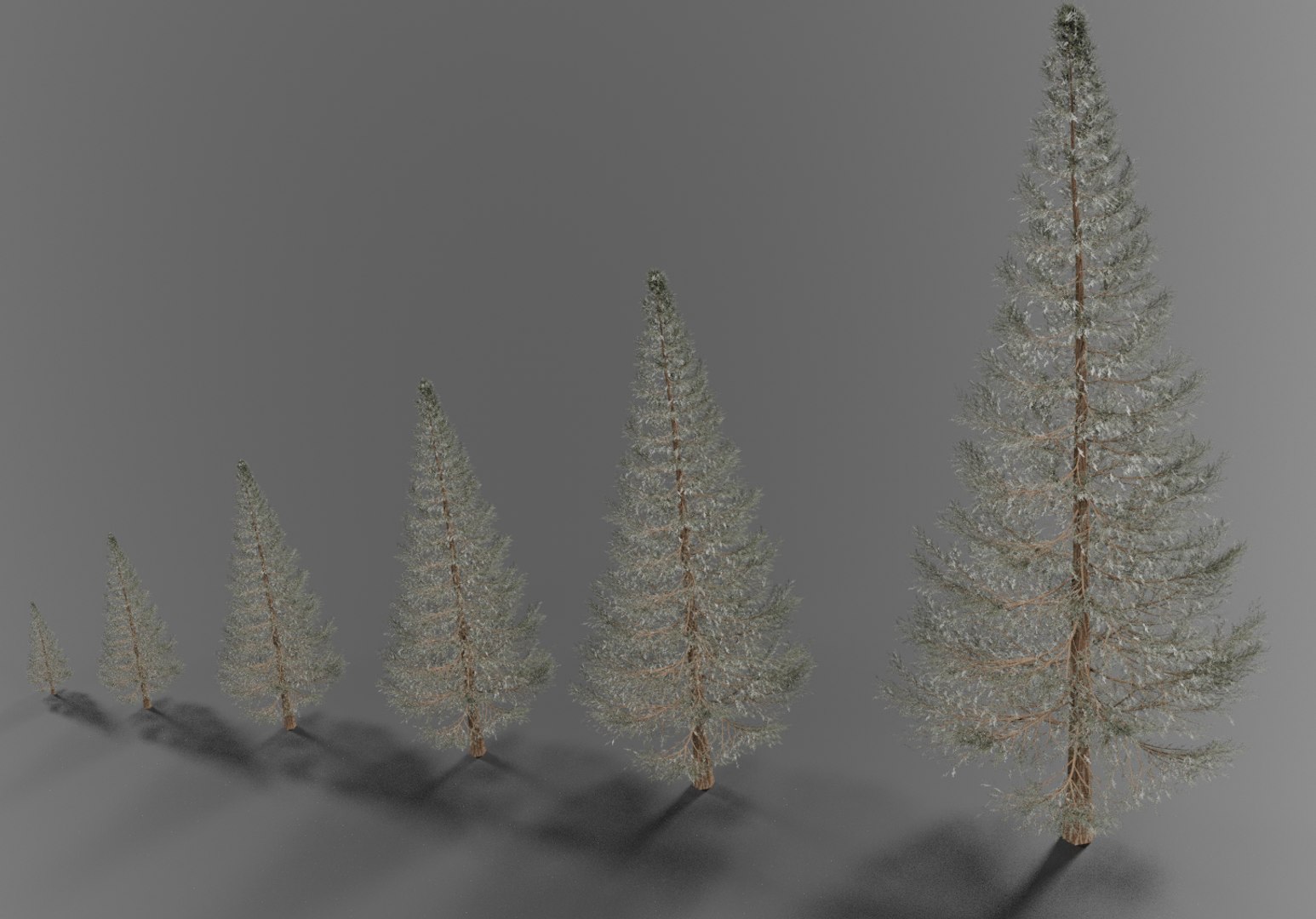 Free 3D Set Of Realistic Fir Trees - TurboSquid 1720817