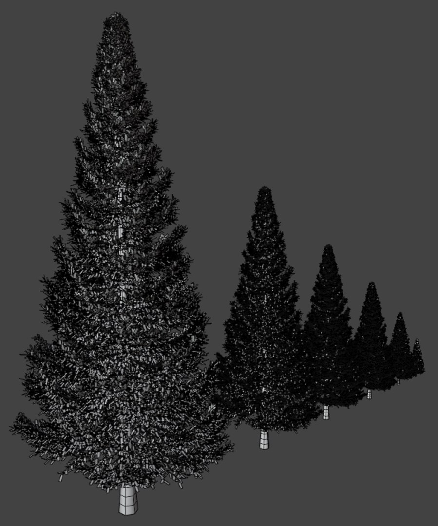 Free 3D Set Of Realistic Fir Trees - TurboSquid 1720817