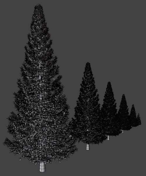 Free 3D Set of realistic fir trees - TurboSquid 1720817