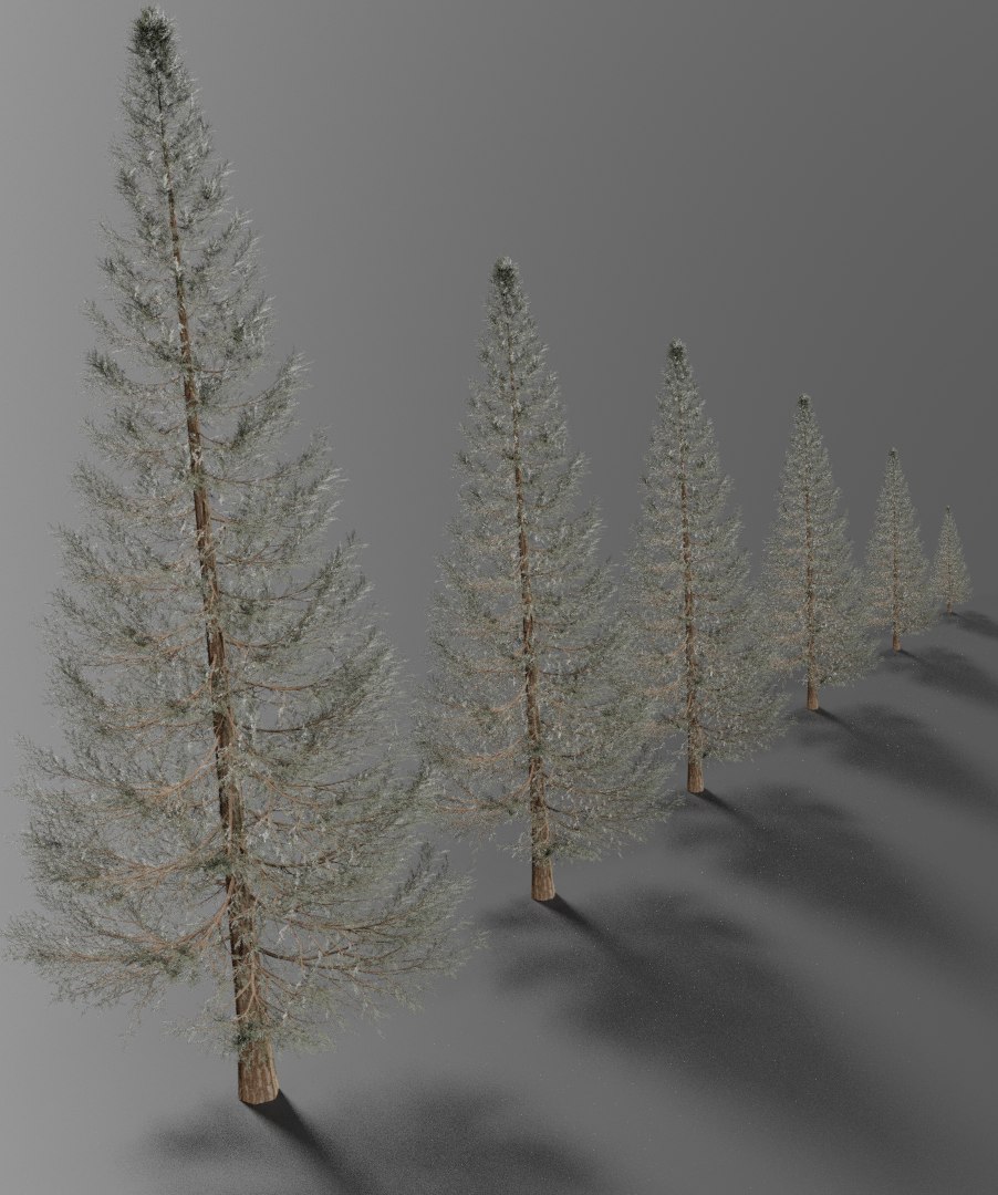 Free 3D Set Of Realistic Fir Trees - TurboSquid 1720817