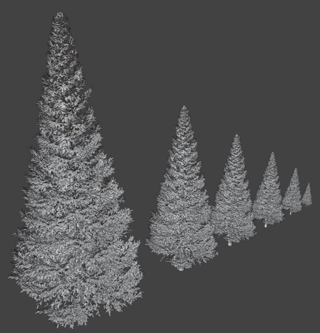 Free 3D Set Of Realistic Fir Trees - TurboSquid 1720817