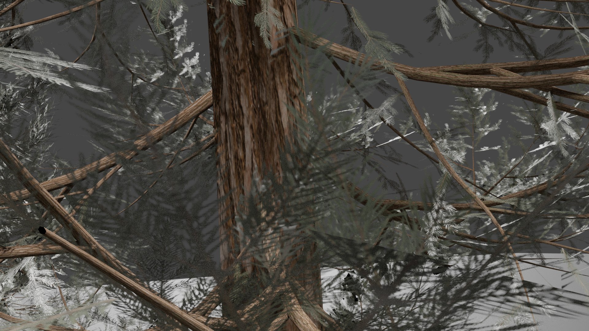 Free 3D Set Of Realistic Fir Trees - TurboSquid 1720817