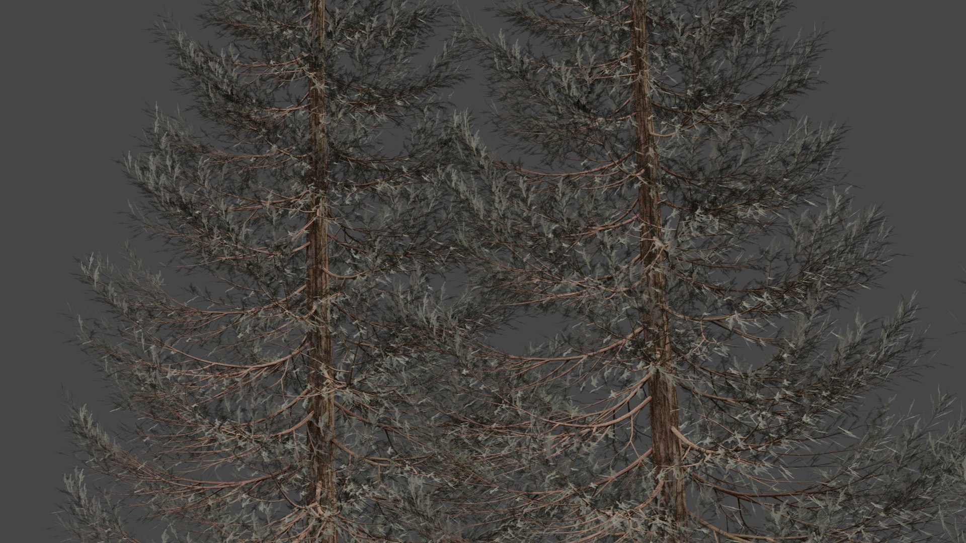 Free 3D Set Of Realistic Fir Trees - TurboSquid 1720817