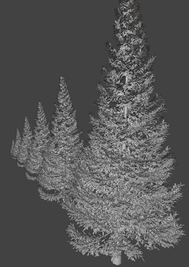 Free 3D Set Of Realistic Fir Trees - TurboSquid 1720817