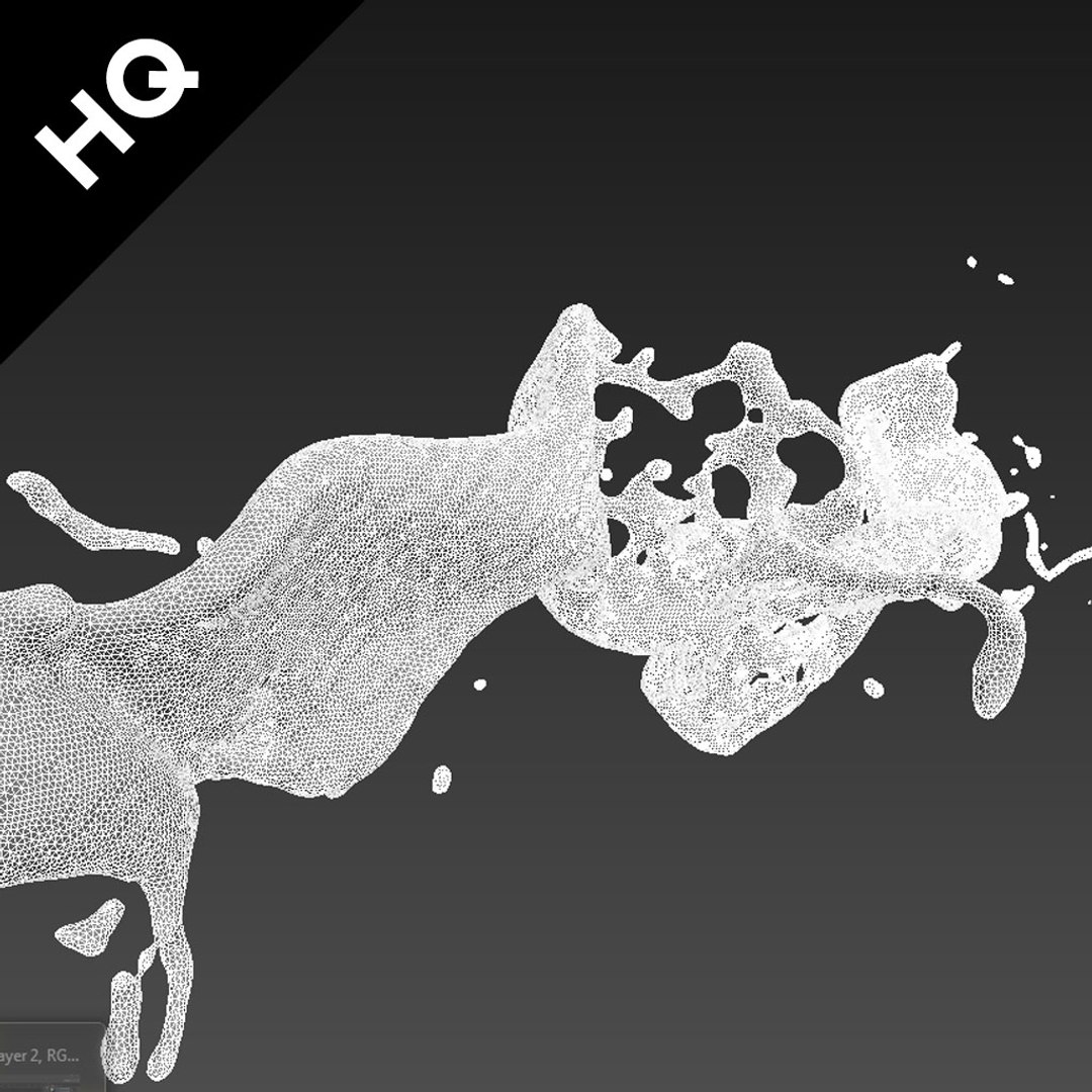 3d splash realflow flow model