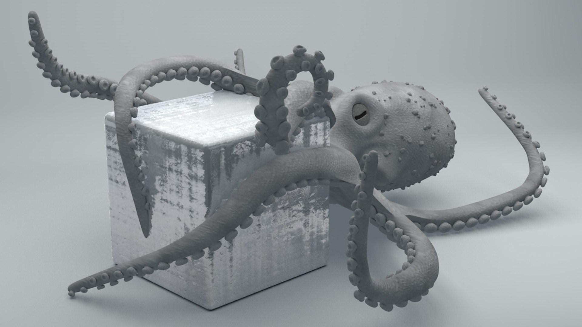 3D Model Octopus - TurboSquid 1340127