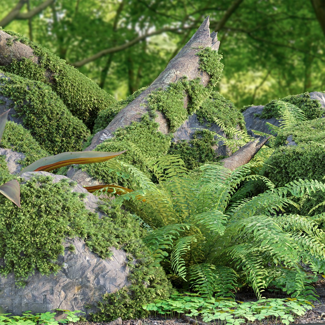 Mossy Garden Asset Collection Vol 156 Model - TurboSquid 1996640