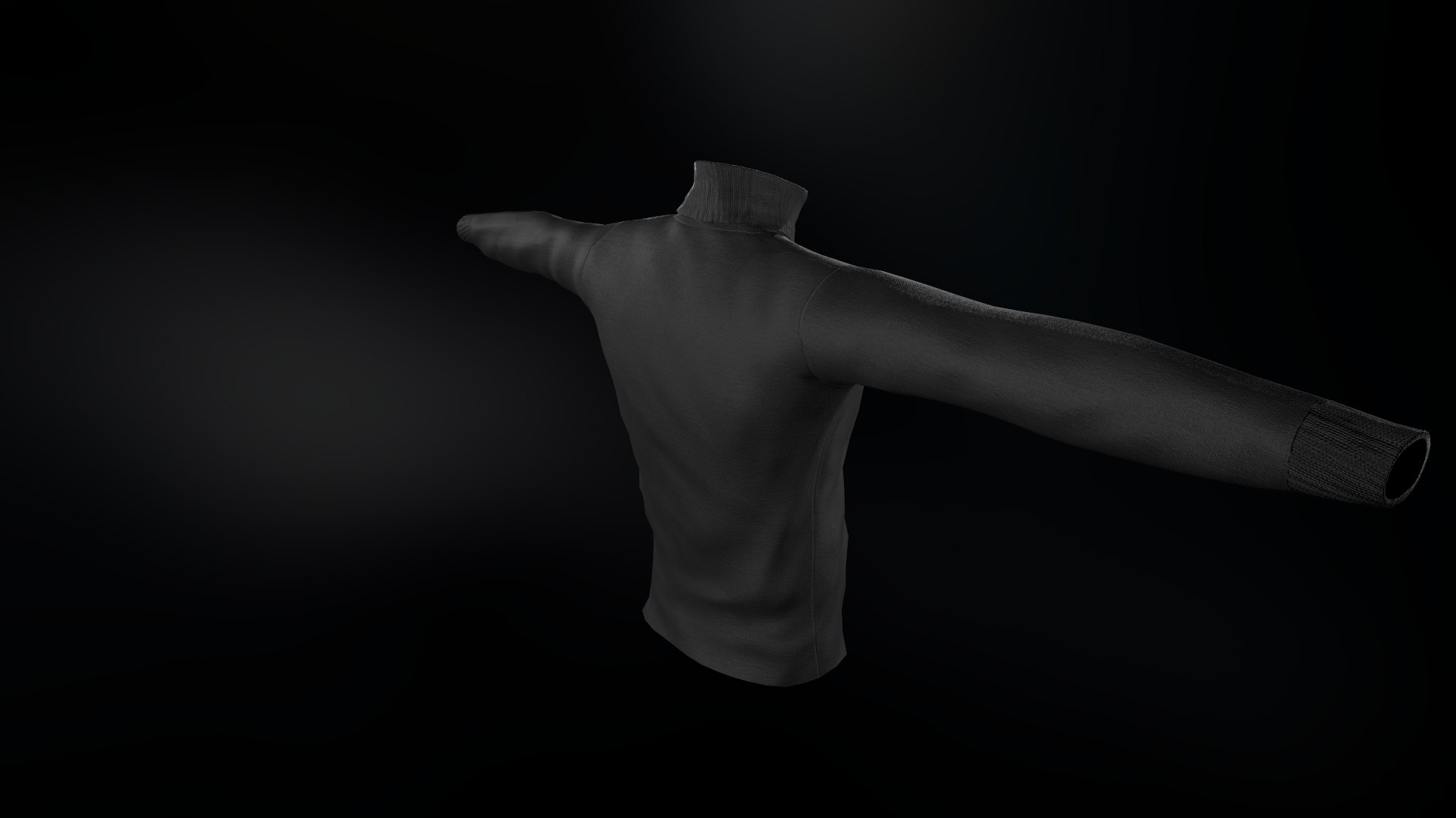 Turtle Neck Model - TurboSquid 1514600