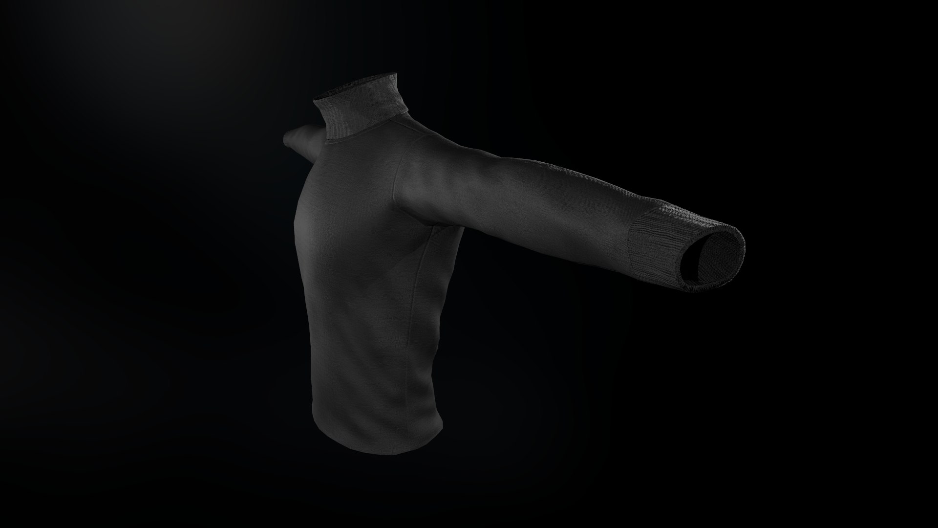 Turtle Neck Model - TurboSquid 1514600