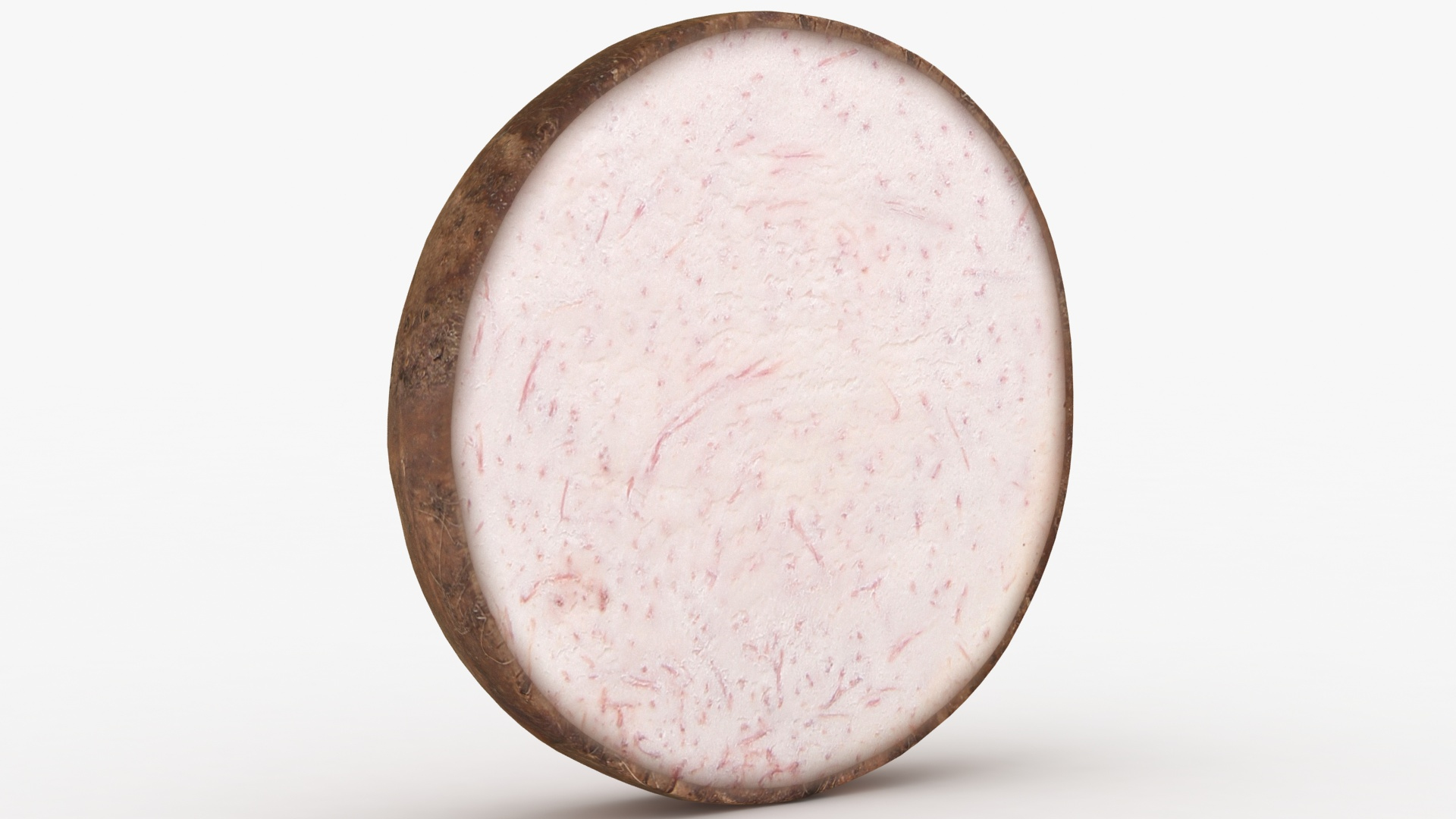 Realistic Taro Slice 3D Model - TurboSquid 1662051